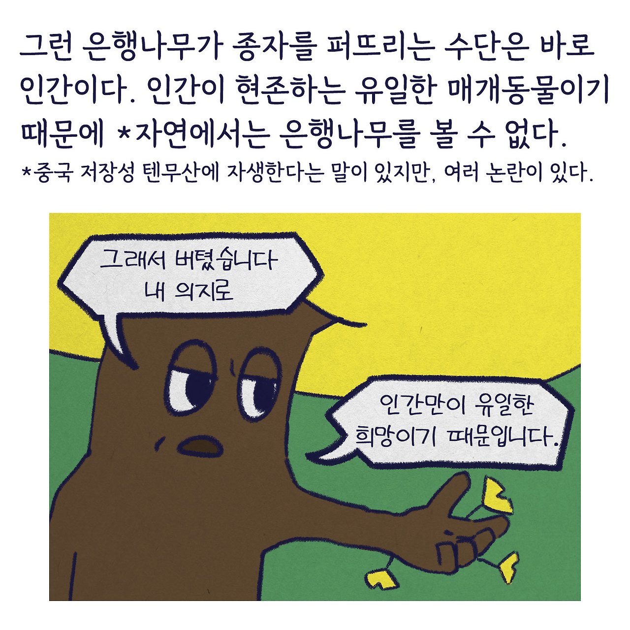 가까이 보아야 고마운 은행나무