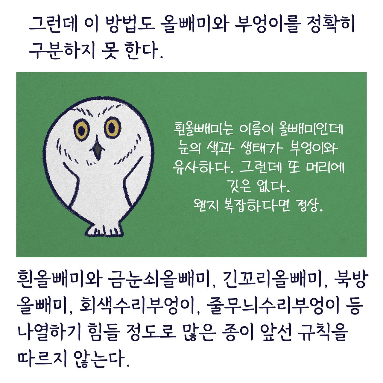 올빼미와 부엉이 구분법