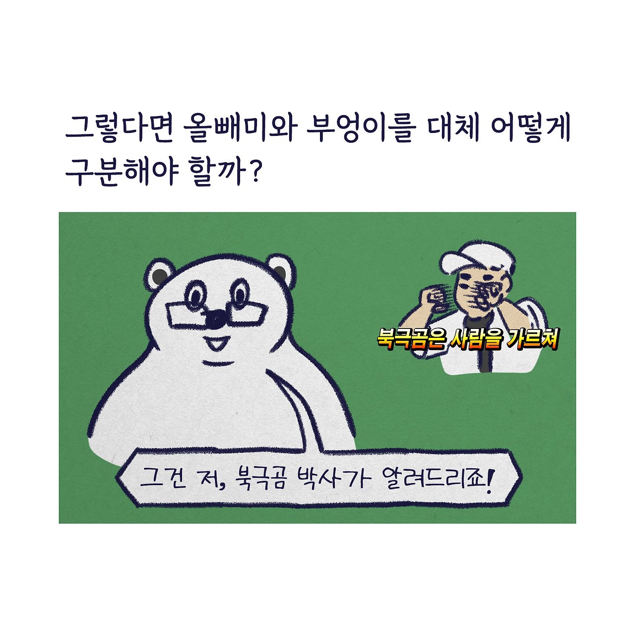 올빼미와 부엉이 구분법