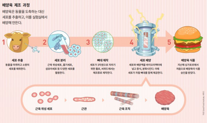 배양육 고기를 만드는 새로운 방법