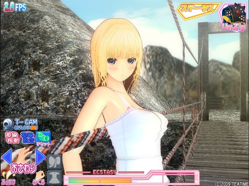 에로 게임의 역사 (4)