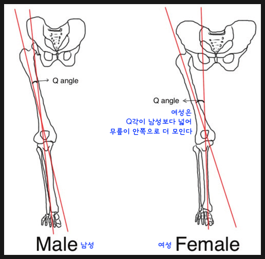 여자 다리 모양 망하게 만드는 트레이너들의 특징