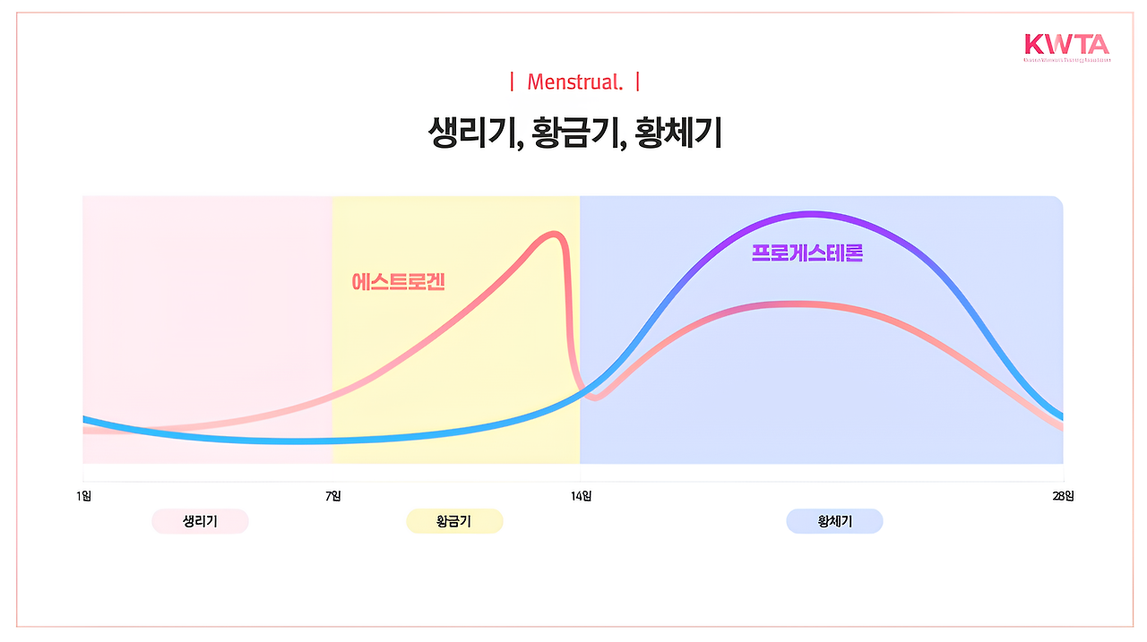 생리주기 트레이닝 아직도 모르시나요