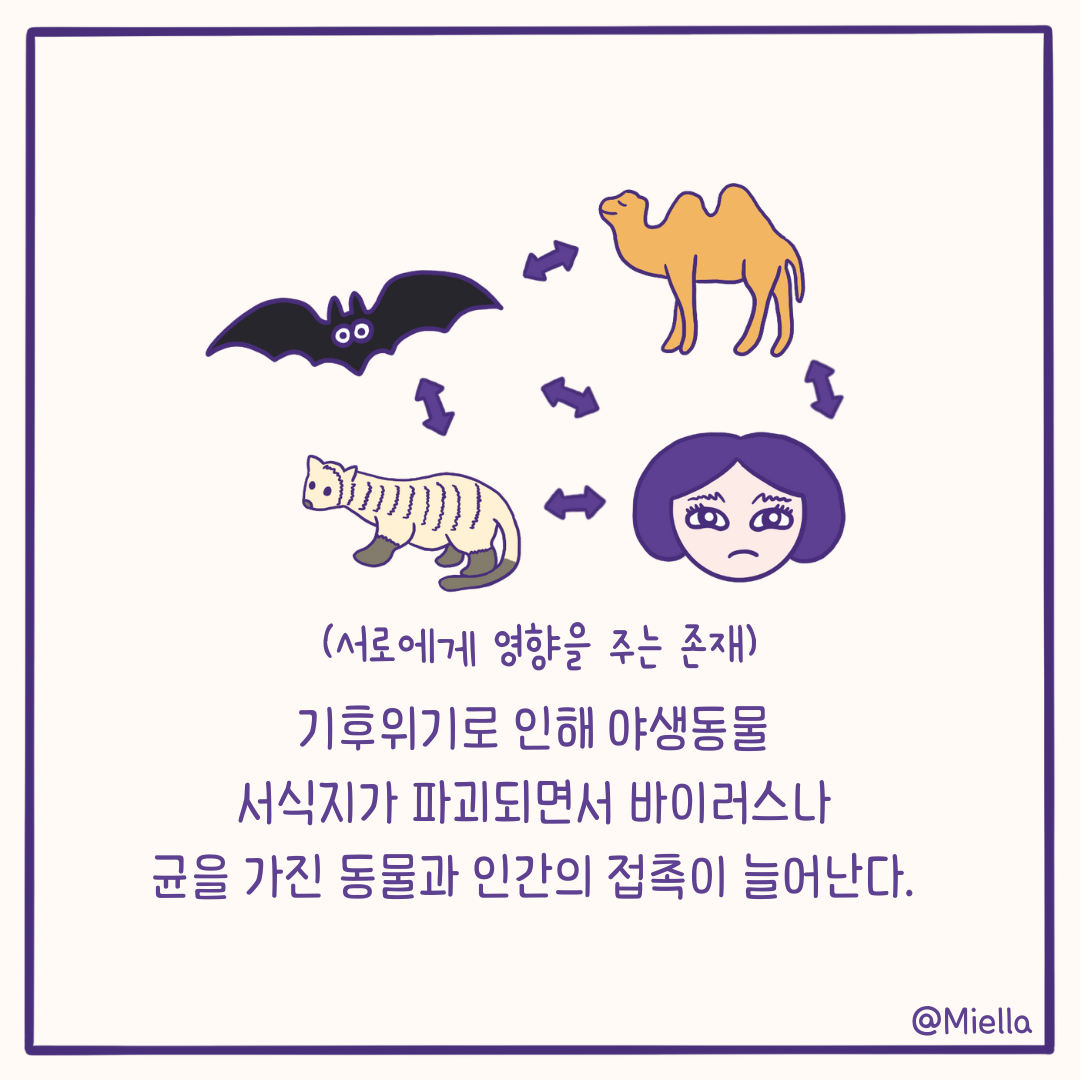 기후위기와 전염병 발생인수공통감염병