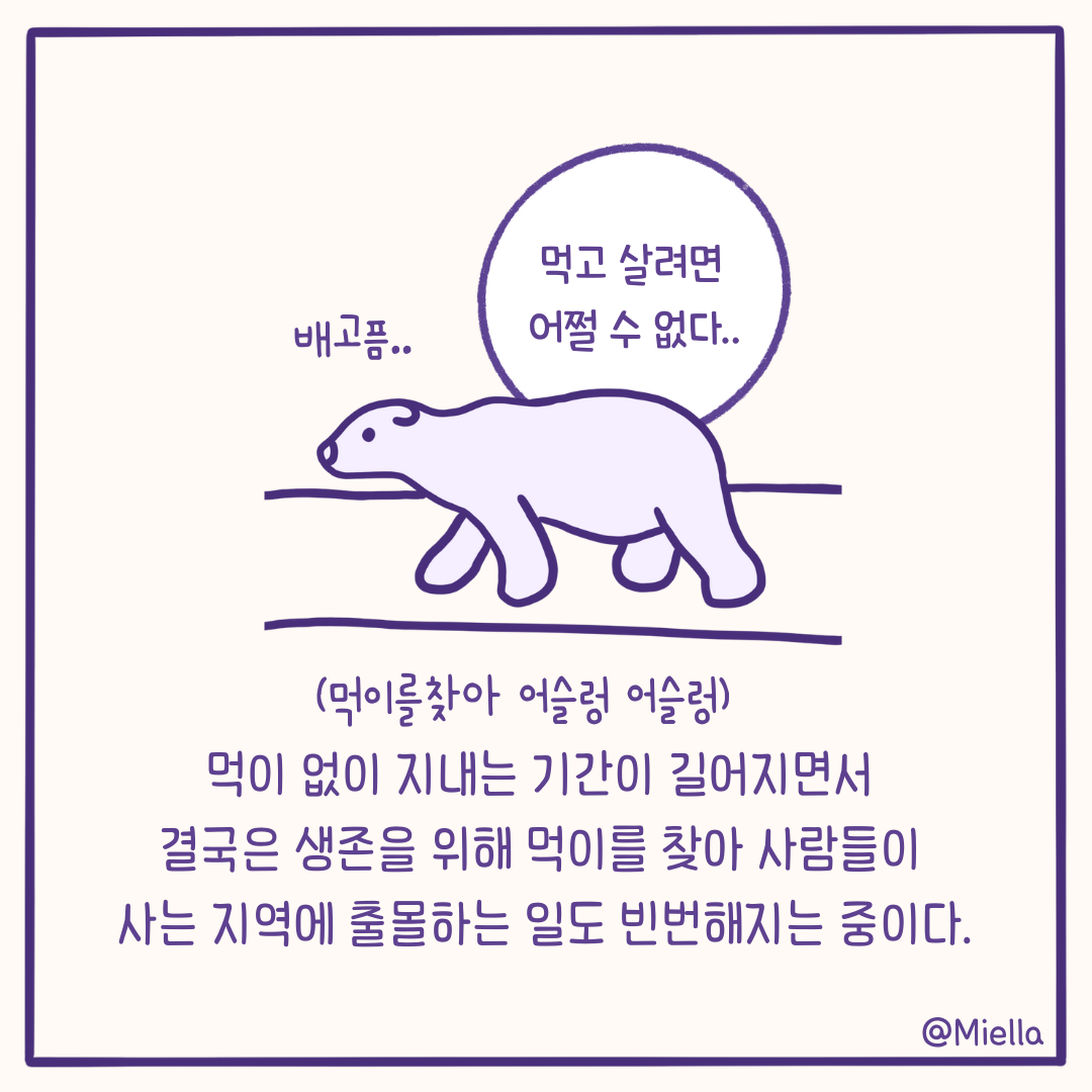 갈 곳을 잃은 북극곰의 눈물