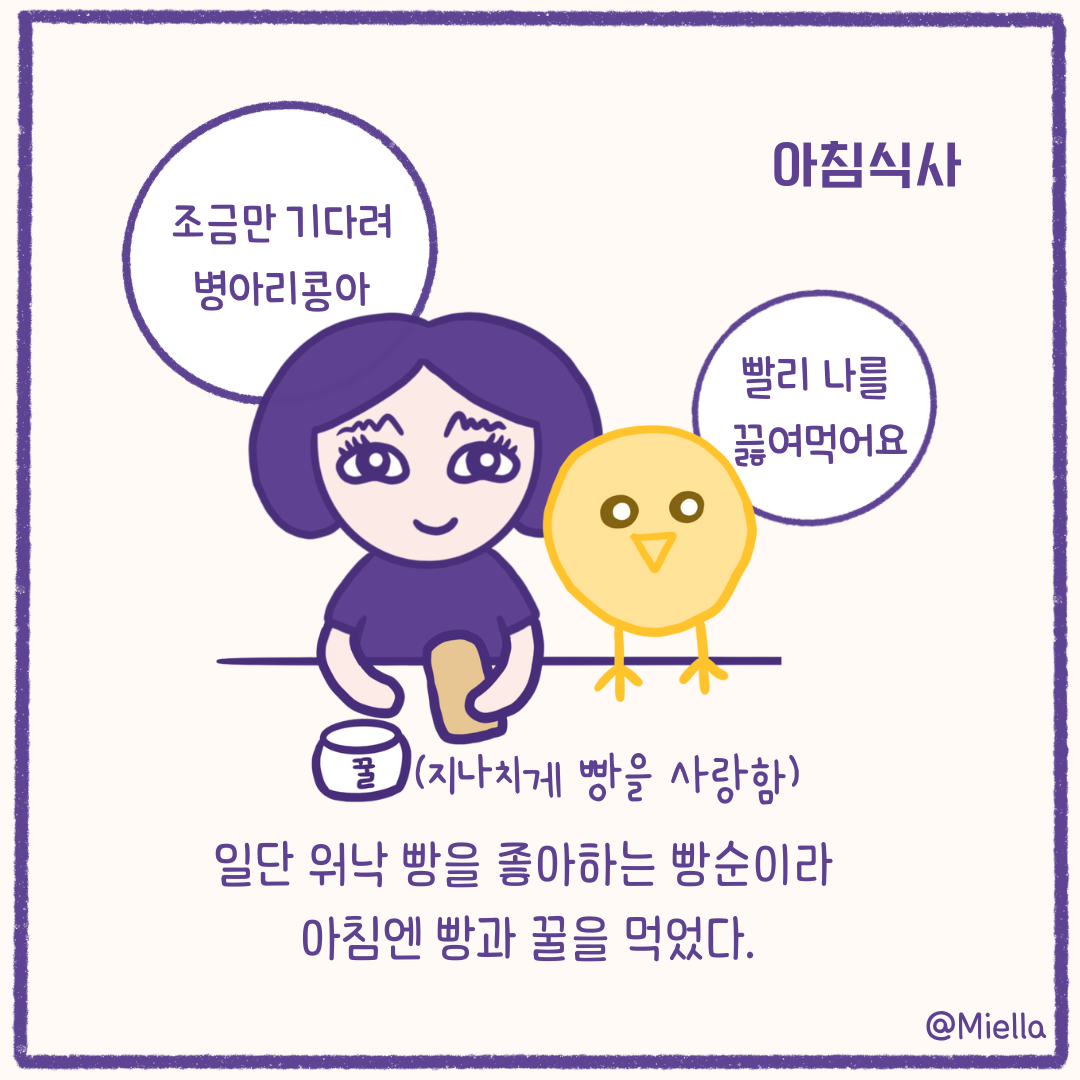 병아리콩을 사랑하는 사람의 하루