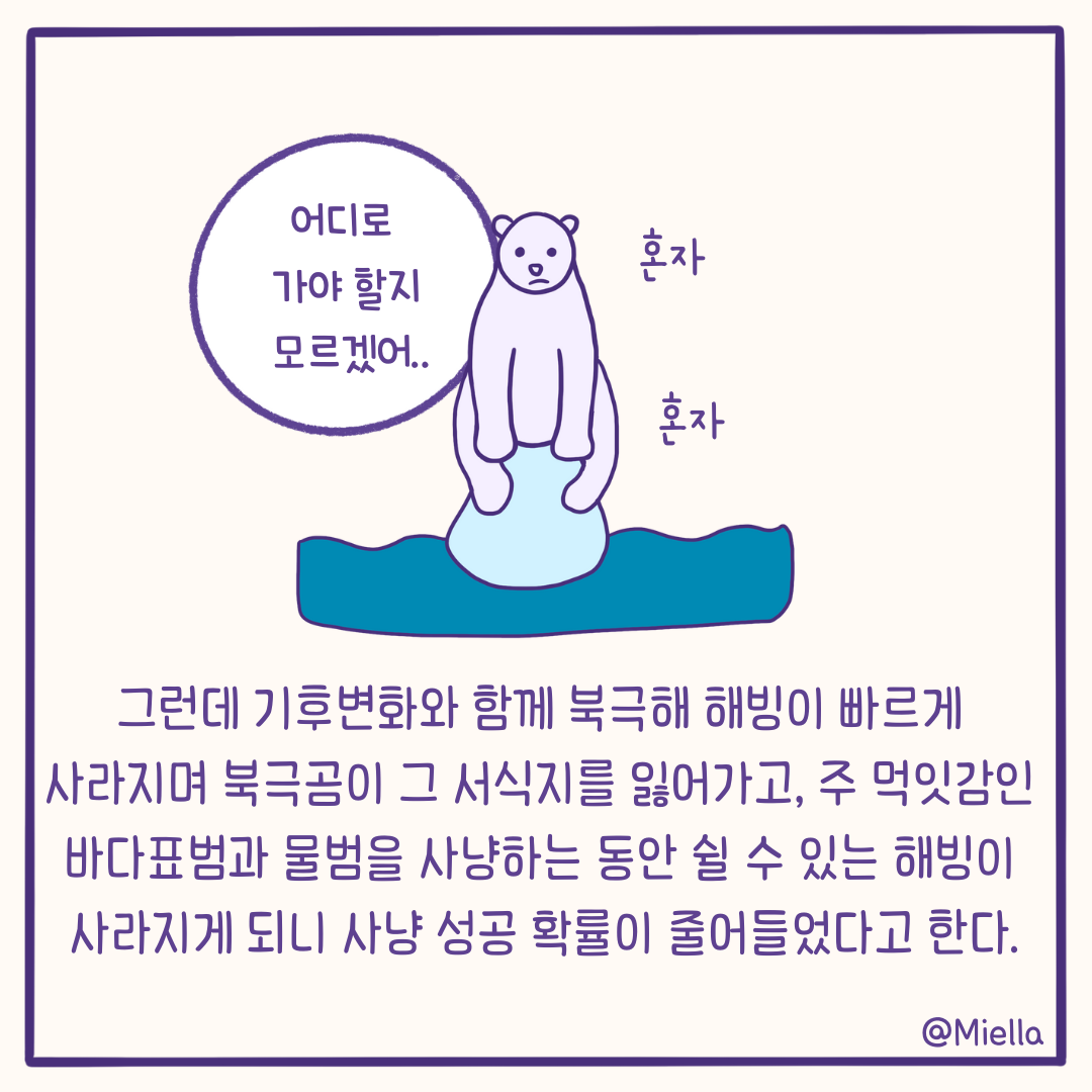 갈 곳을 잃은 북극곰의 눈물