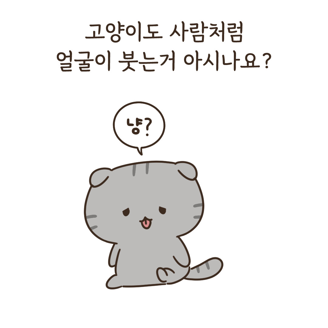 06 라면 먹은 고양이슴슴한 집사 일상 만화