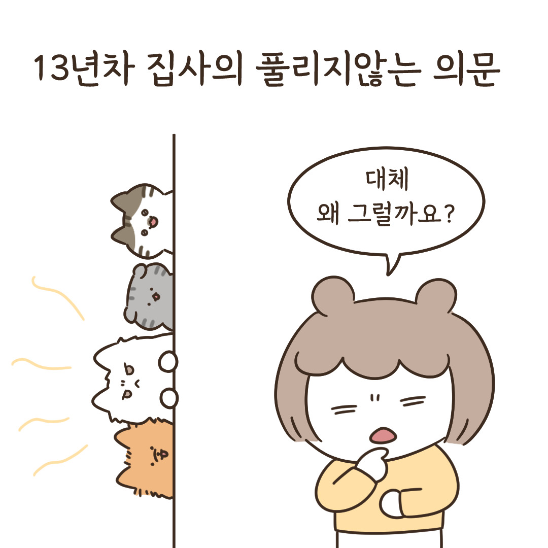 02어디서든 느껴지는 시선의 정체슴슴한집사 일상만화