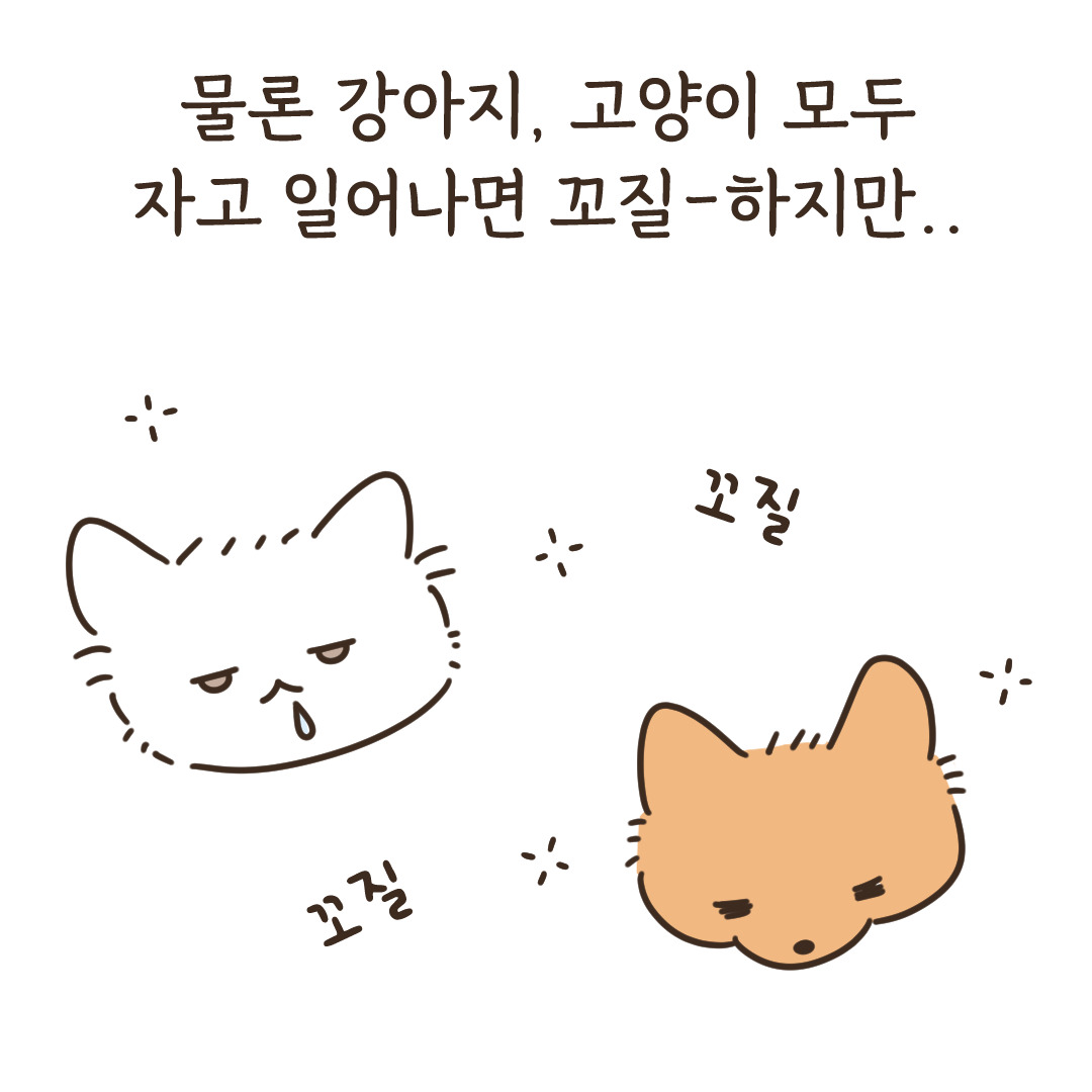 06 라면 먹은 고양이슴슴한 집사 일상 만화