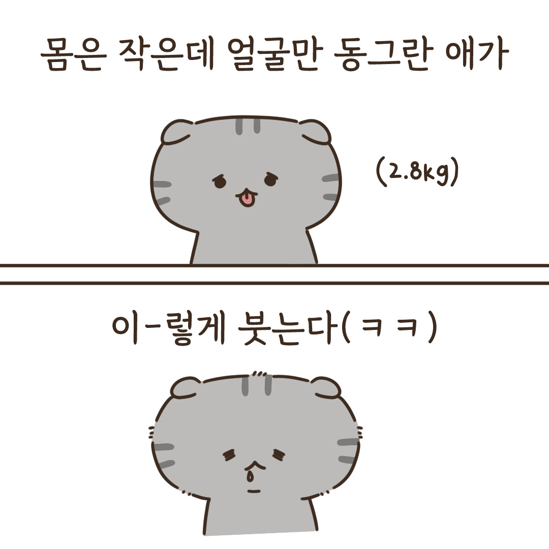 06 라면 먹은 고양이슴슴한 집사 일상 만화