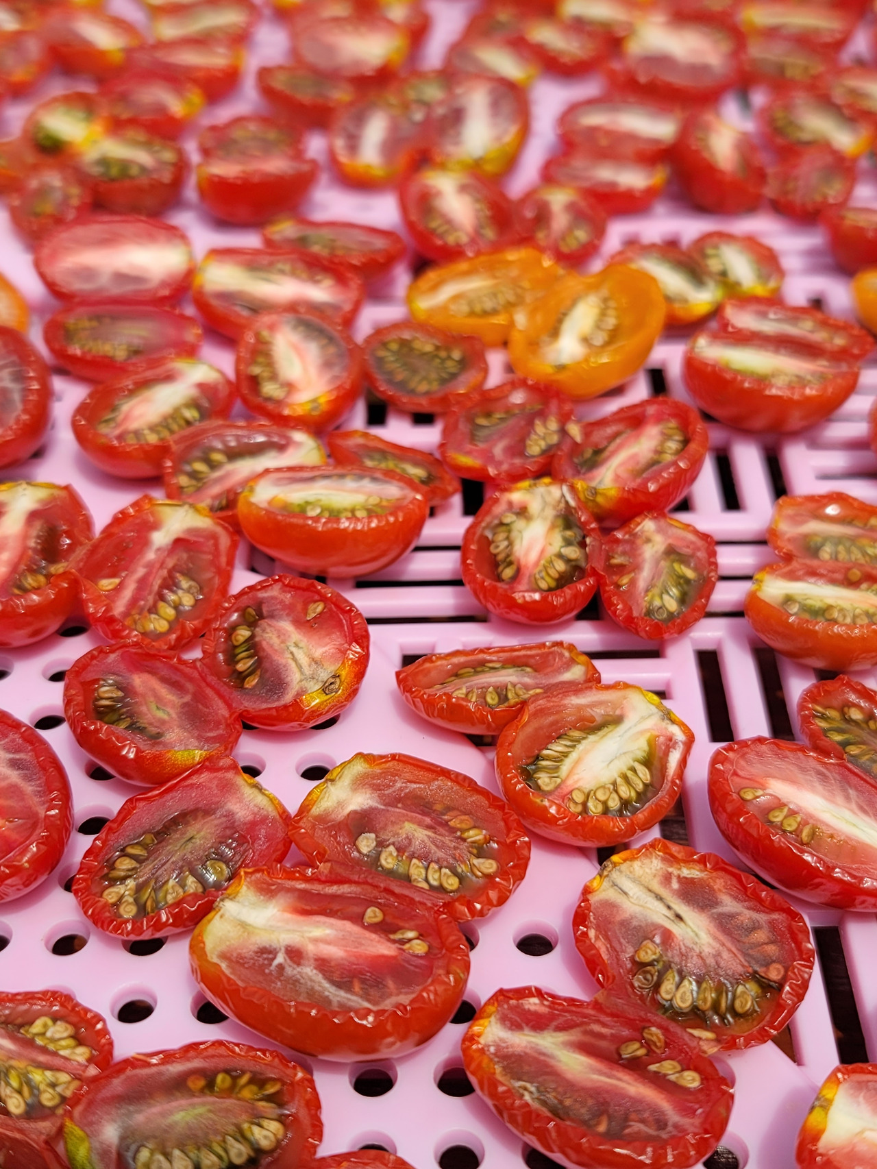 썬 드라이 토마토