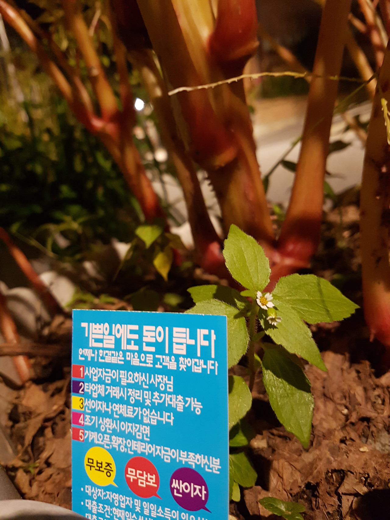 네 이름을 찾아