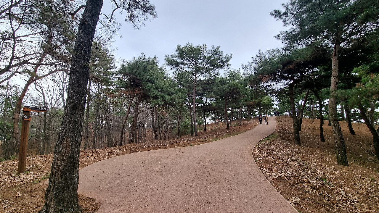박물관 유람기③ 무령왕릉과 국립공주박물관