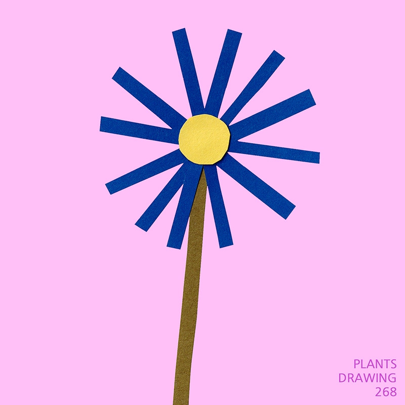 Plants Drawing 268