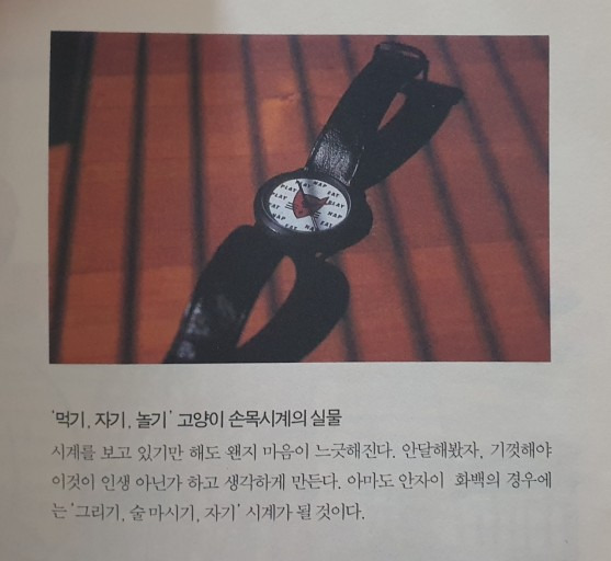 나의 손목시계는 스마트하지 않아서