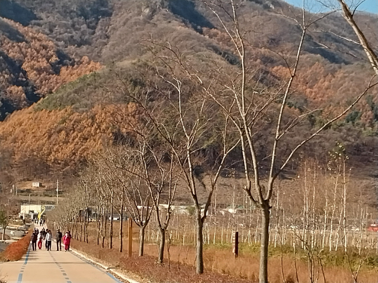 국내 최장 포천 한탄강 Y형 출렁다리 현재는
