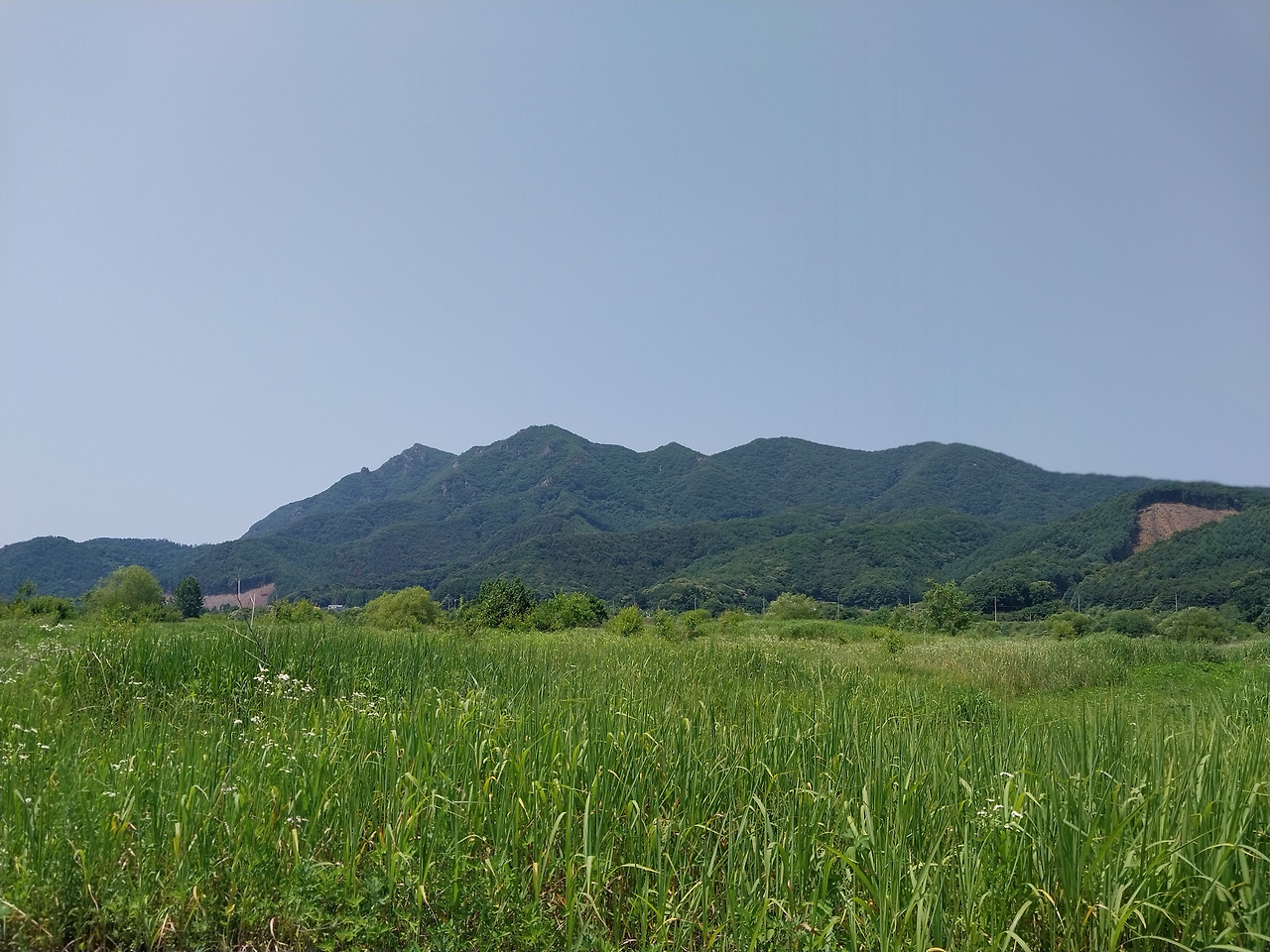 밥 보다 그림을 택한 화가를 보고