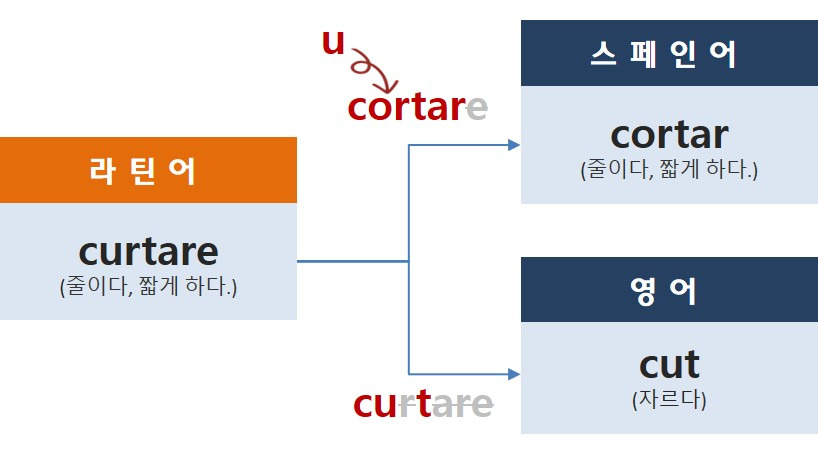자르는 것