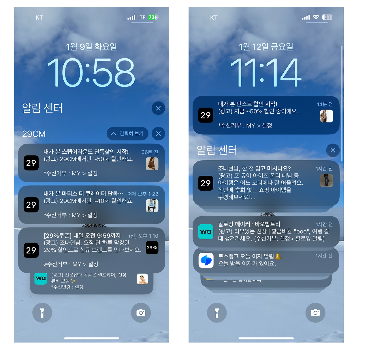 요즘 최근 본이 핫한 이유