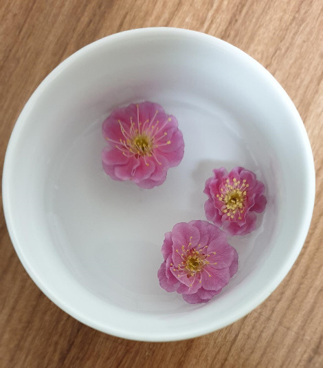 세한삼우歲寒三友