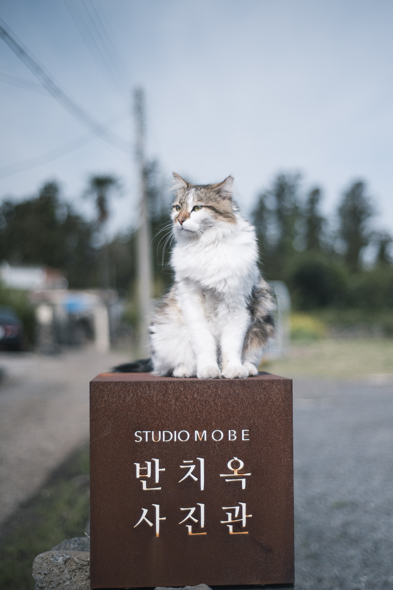 18화 사진관 막내 기티