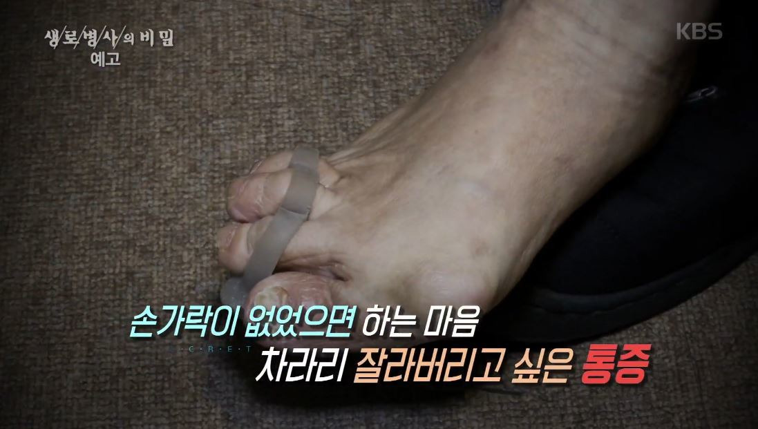 통증 싹 없애준다우슬뿌리 효능 먹는 방법