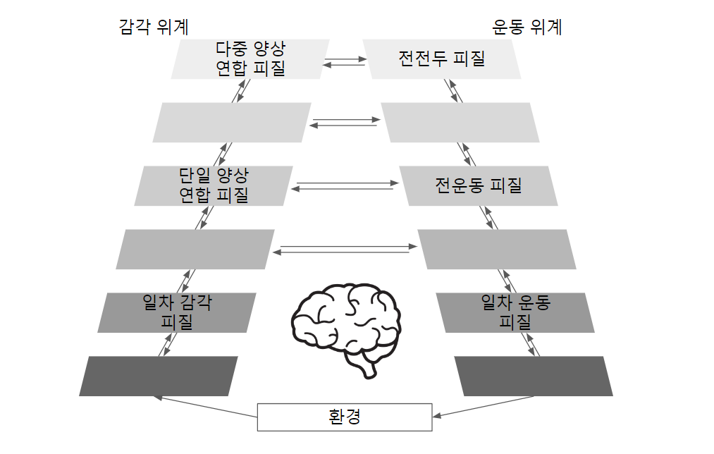 인간의 뇌는 대상을 어떻게 지각하고 기억하는가