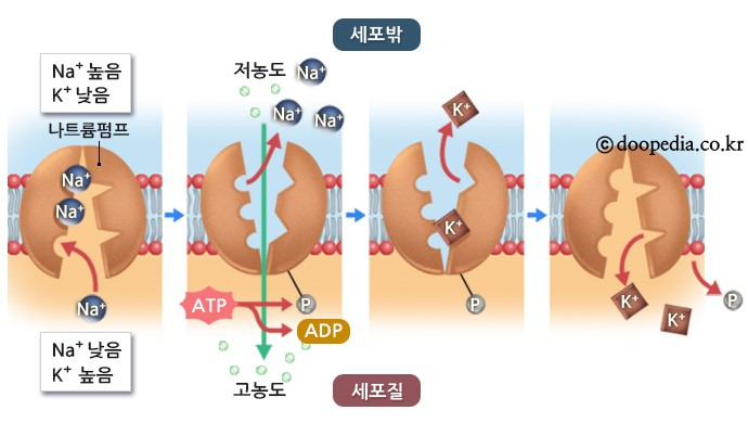 힘들고 지칠 땐 국밥을 먹자