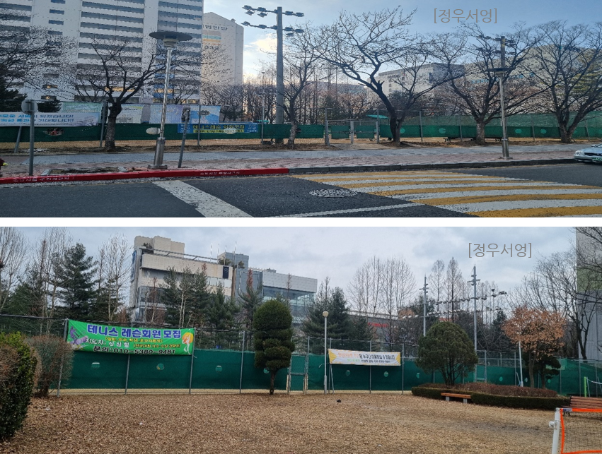 분당 시범단지 운동 임장으로는 알 수 없는 진짜정보