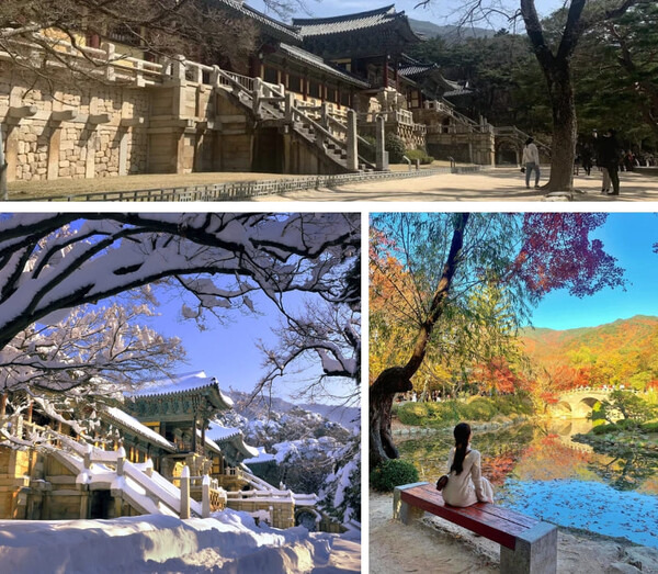 경주 가볼만한 곳 Best 10 총정리
