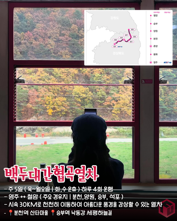 황홀한 풍경을 담은 국내 이색 관광열차 소개