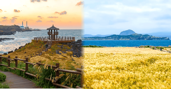 제주도 꼭 가봐야 할 명소 Best 4 추천