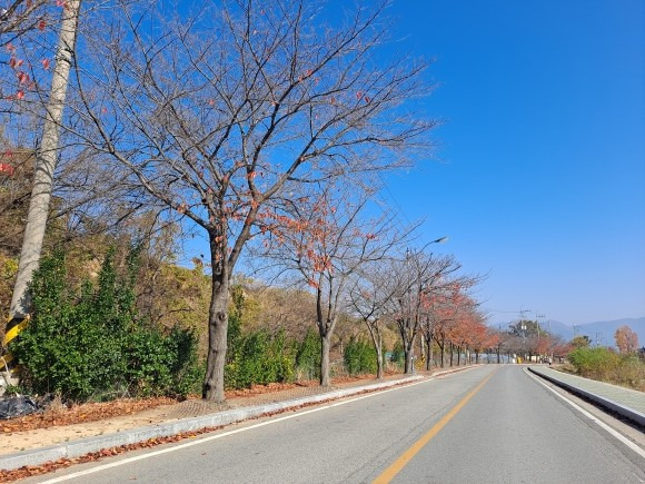 기로수