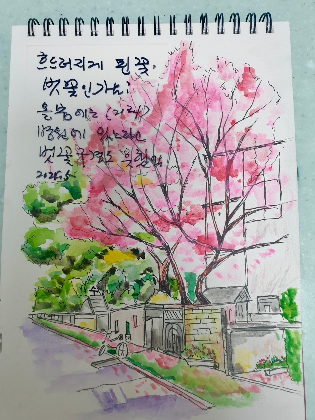 엄마의 그림일기