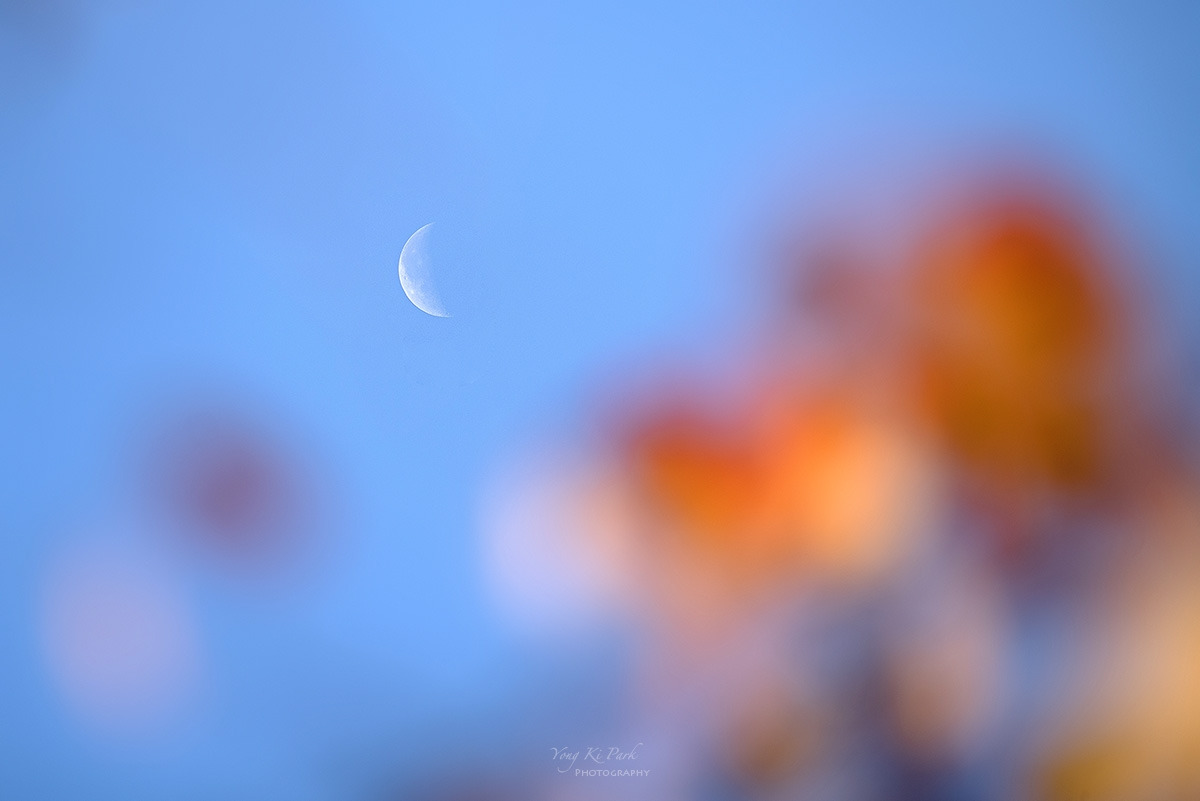 하늘 2