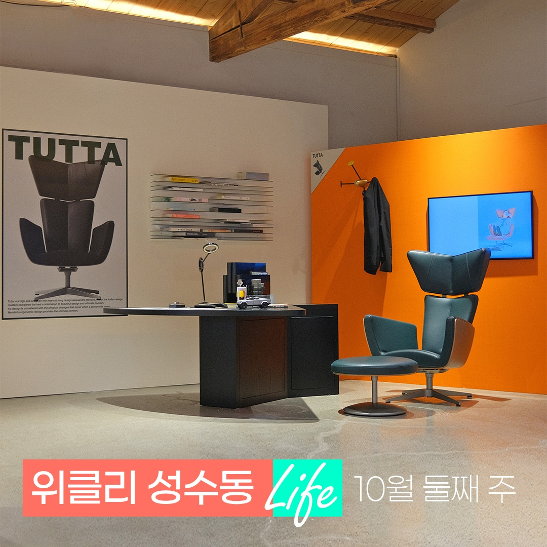 위클리성수 헨리코튼 스펙테이터 알레그리 알로소