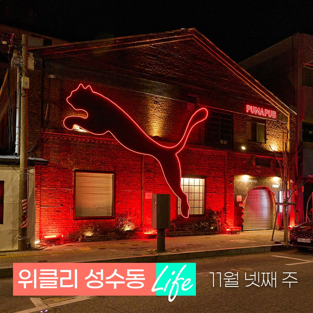 위클리성수 어그 필하우스 푸마펍 그라펜 아식스