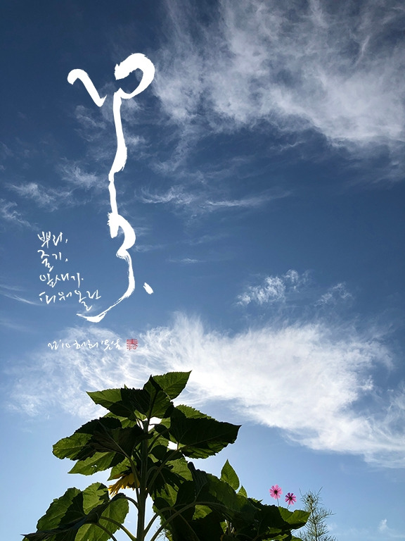 05화 꽃