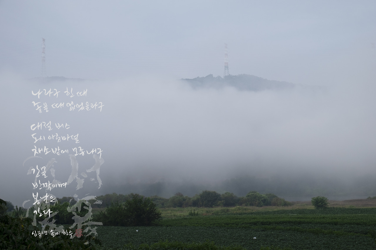 16화 강촌농무 봄날은 간다