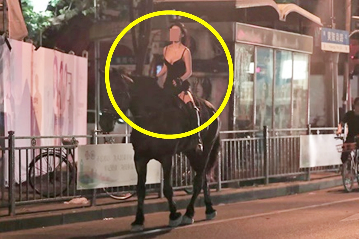 술을 마시고 말을 타면 과연 음주 운전으로 처벌받을까
