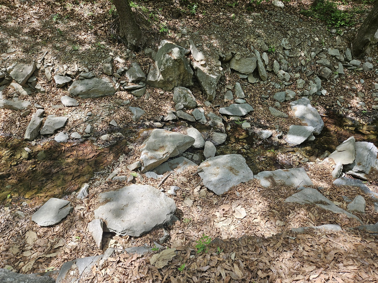 맞춤형 산림치유 힐링 숲길 국립예산치유의숲