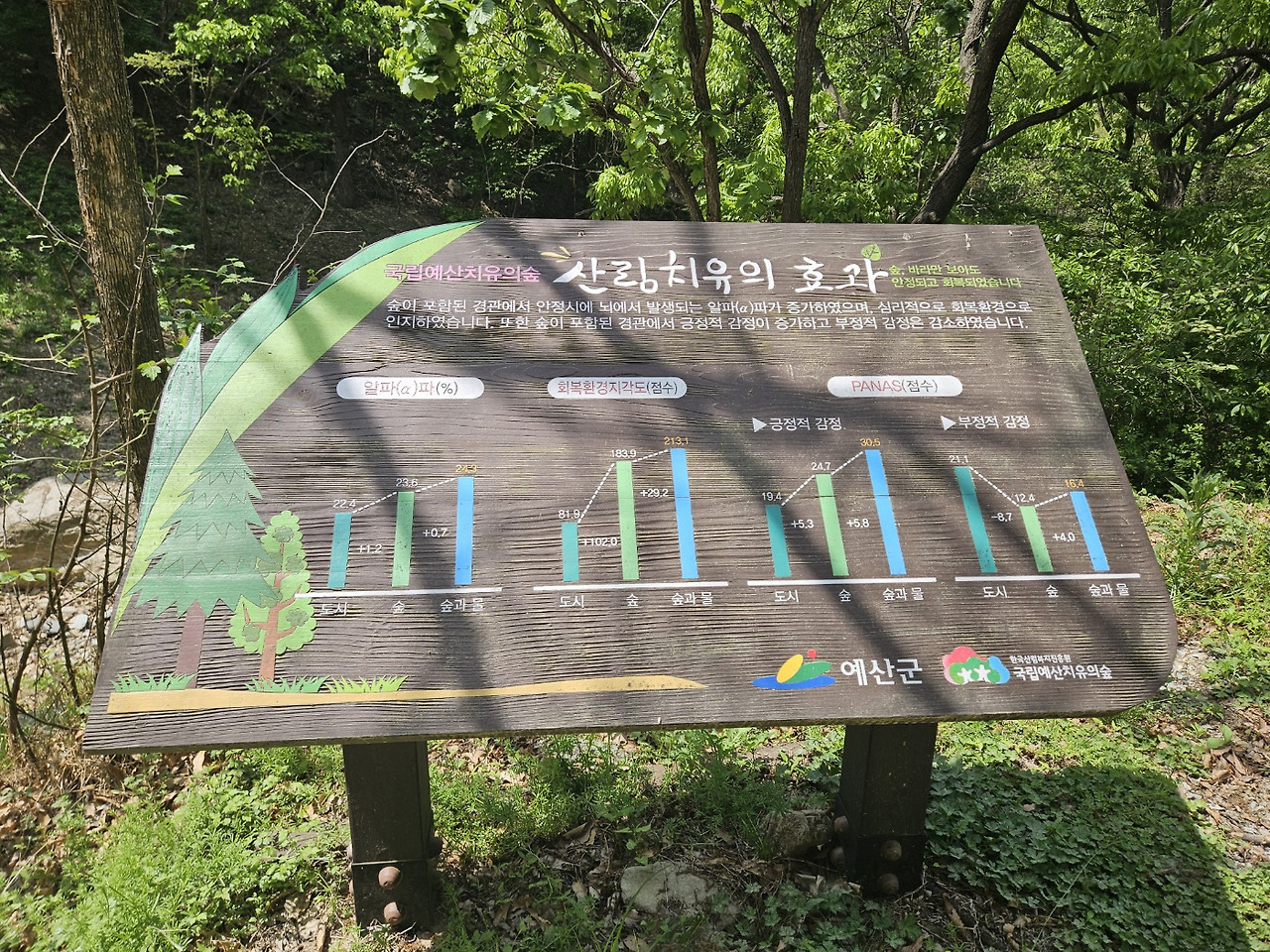 맞춤형 산림치유 힐링 숲길 국립예산치유의숲