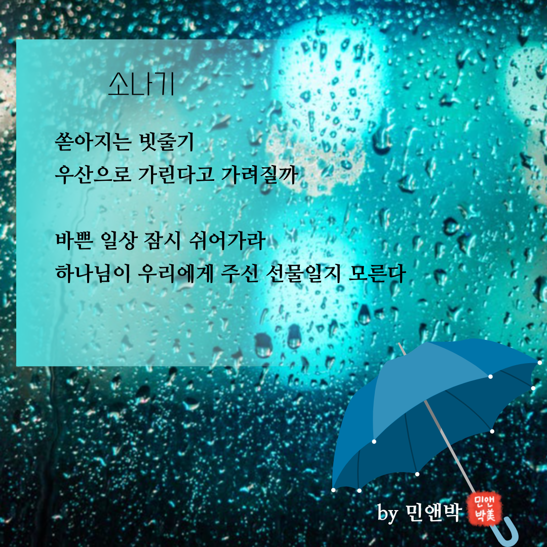 소나기