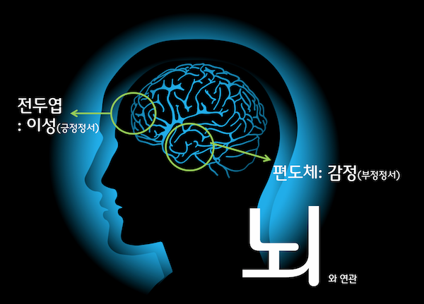 08화 편도체와 전두엽