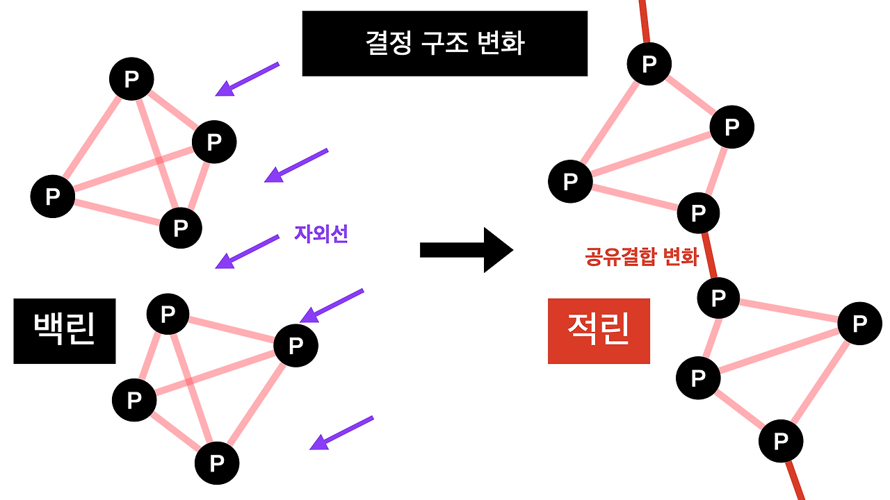 08화 동소체 백린과 적린