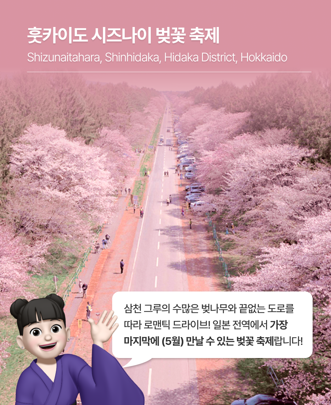 일본 전국 벚꽃 개화시기 및 축제 모음