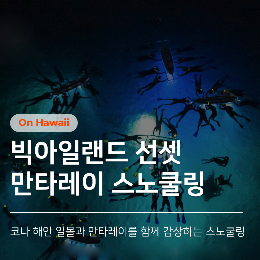 하와이 빅아일랜드 만타레이 선셋 스노쿨링
