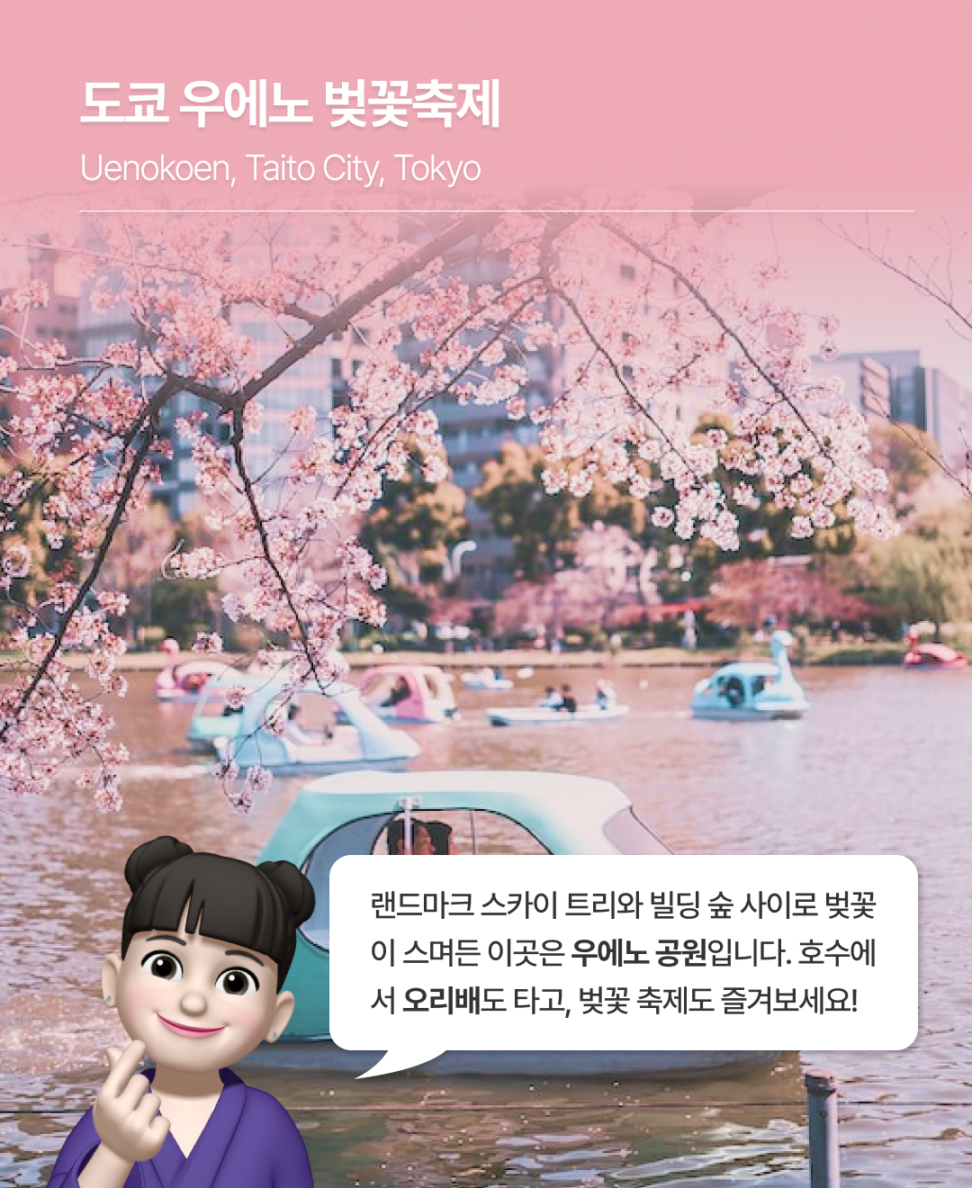 일본 전국 벚꽃 개화시기 및 축제 모음