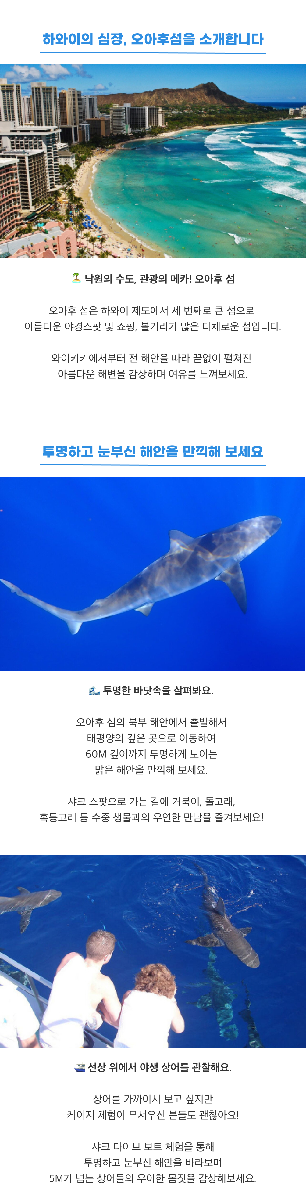 하와이 오아후 섬에서 즐기는 샤크다이브투어